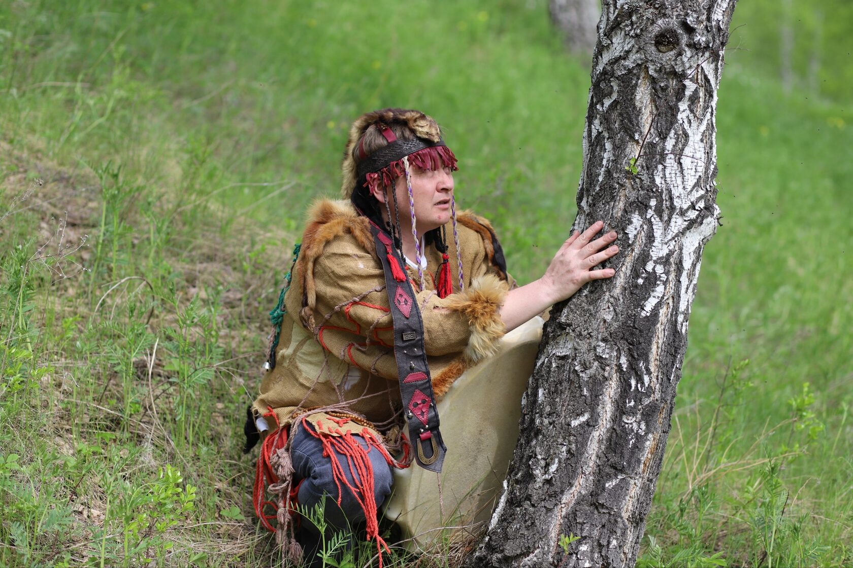 Trees Remember Everything: How to Earn a Tree’s Trust and Healing Power