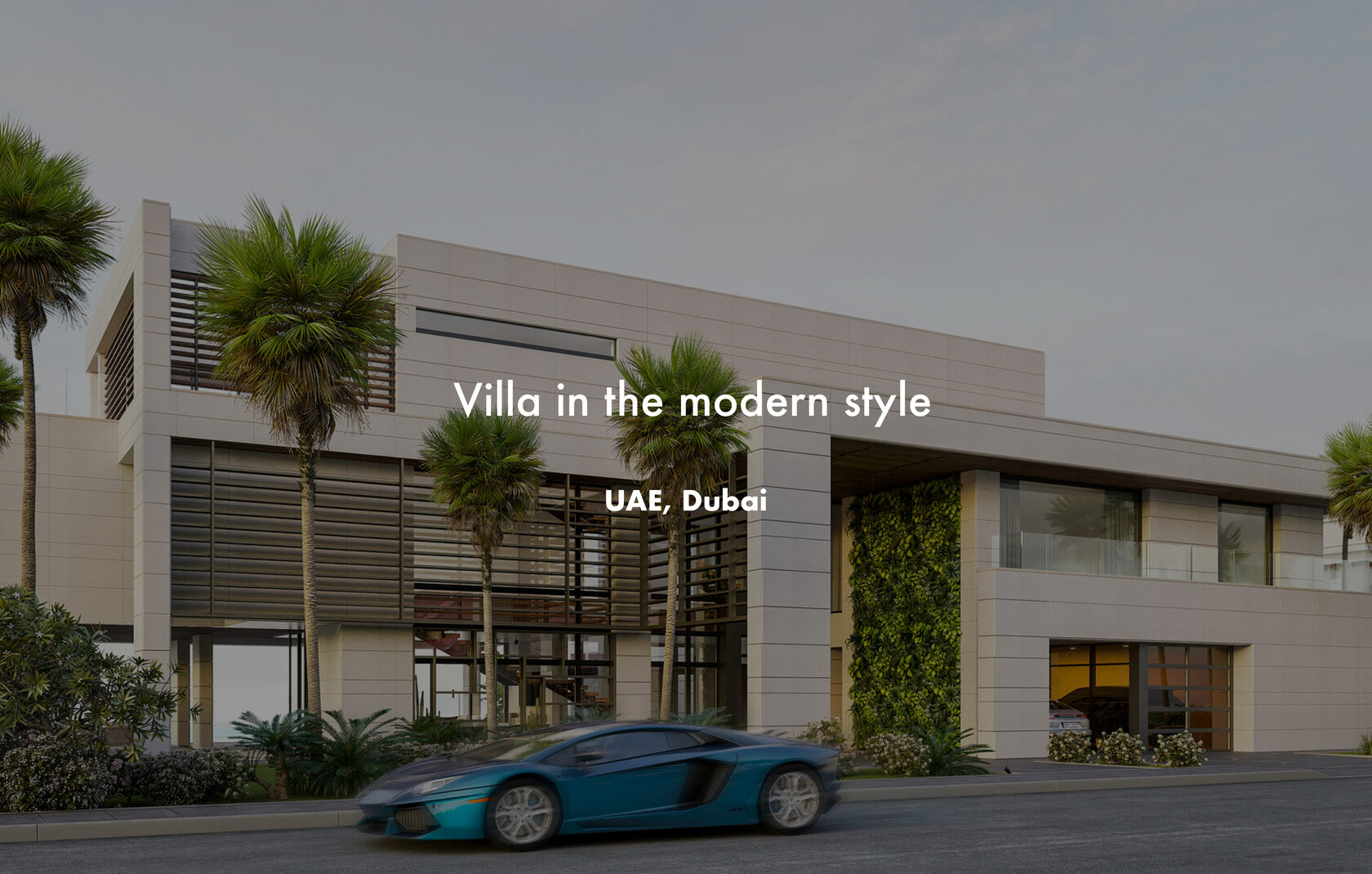 Projects. Olt Design