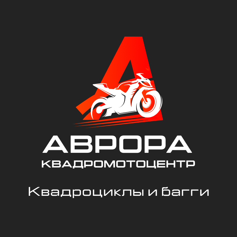 Квадроциклы (снегоболотоход) - купить в Калуге! Выгодная цена в ...