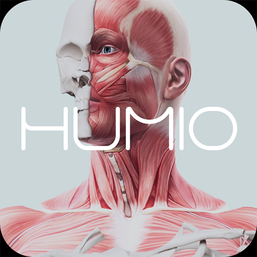 HUMIO - Интерактивный 3D атлас анатомии человека