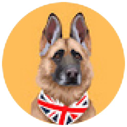 Free GE - free Golden Eagles for War Thunder