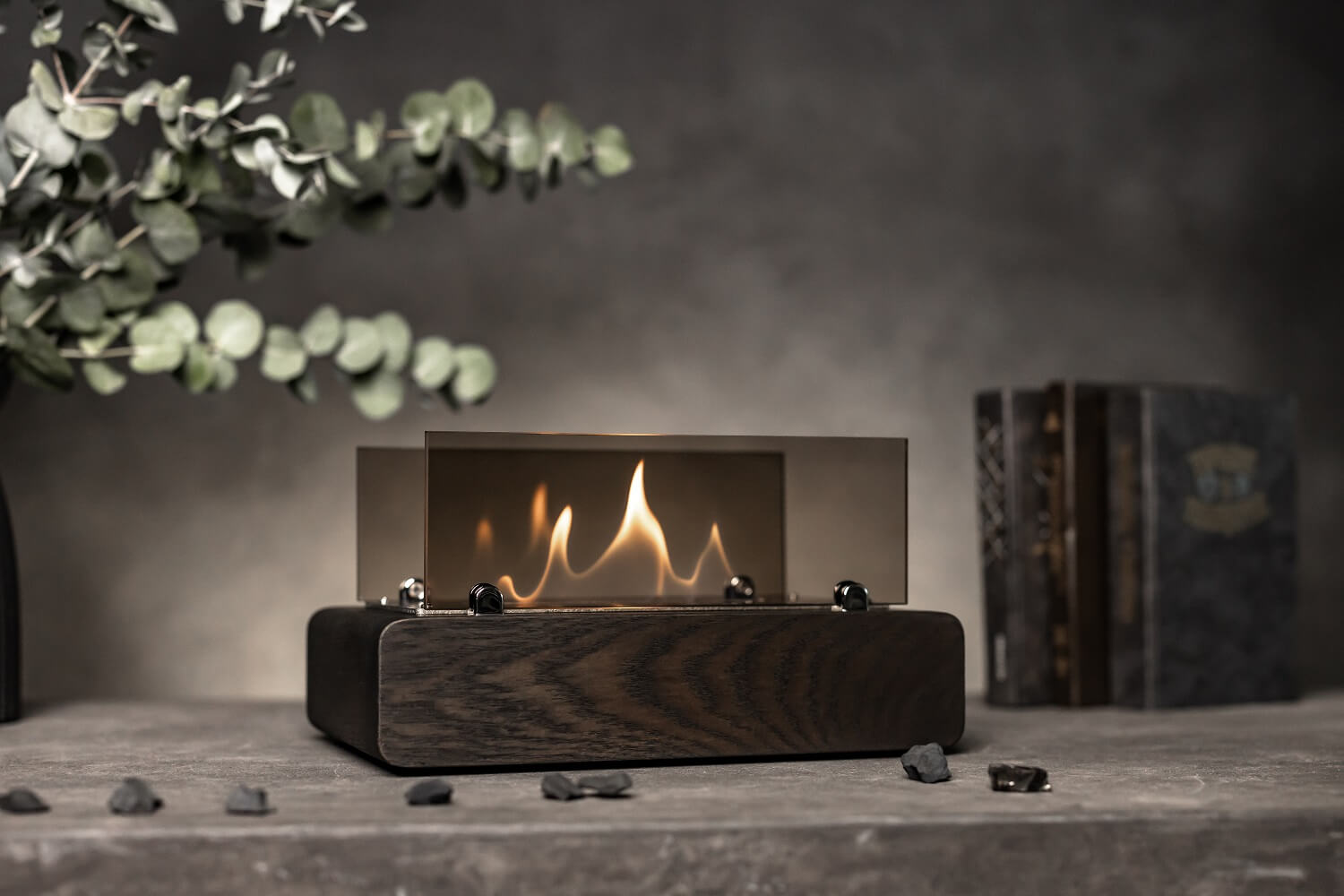 Дизайнерские биокамины от REGARDS.