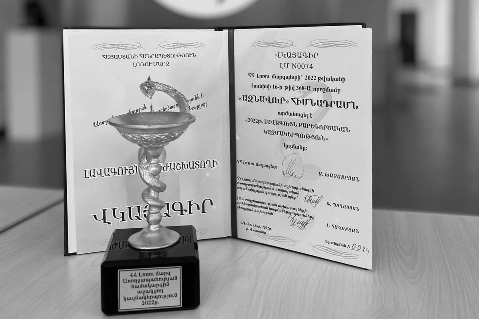 Best charity organization Award to the Aznavour Foundation