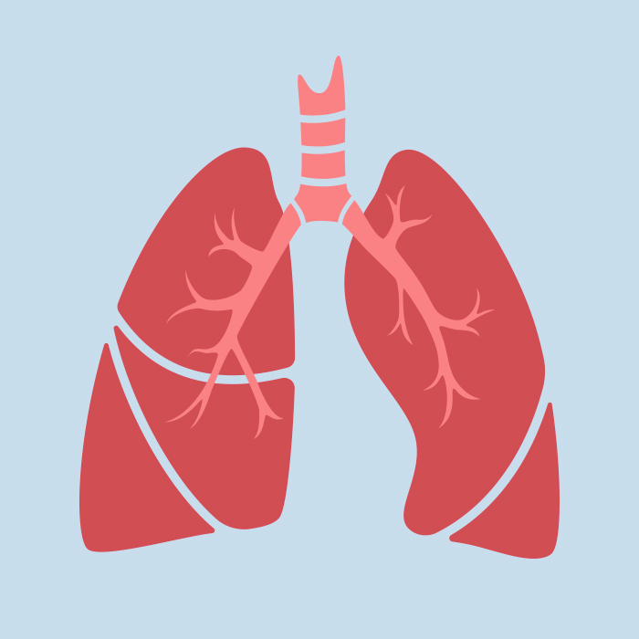 Welcome-курсы Medtrain