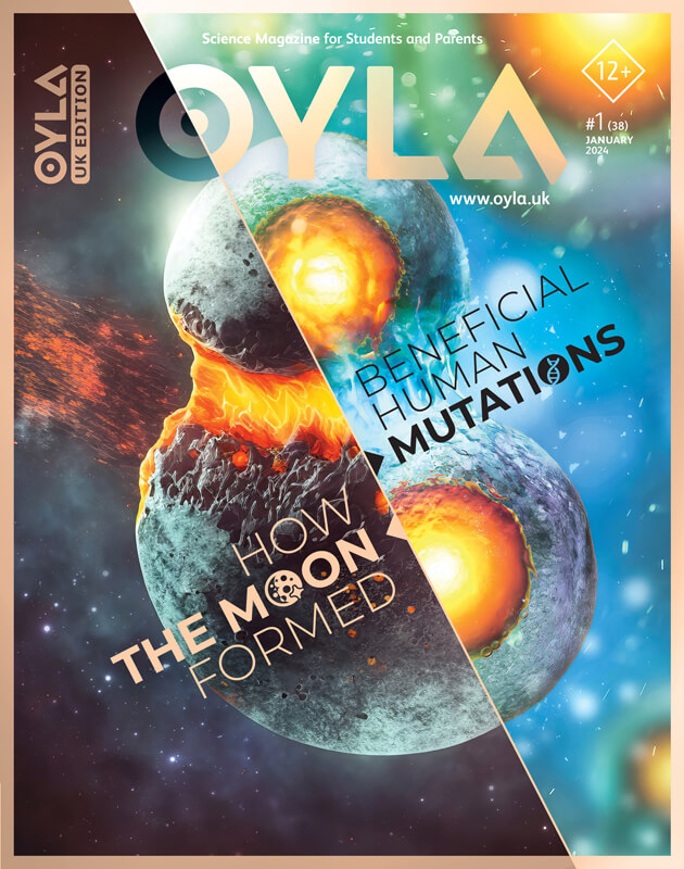 OYLA Magazine