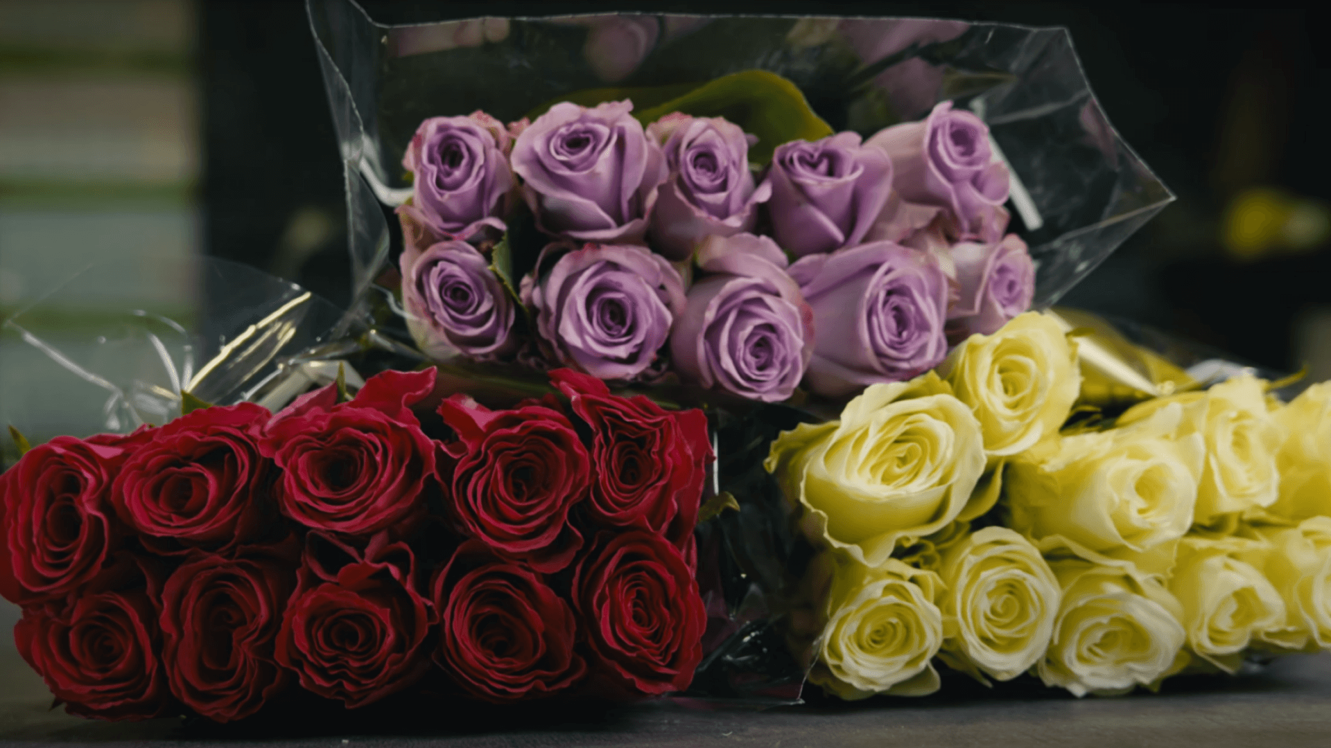 Розы от плантаций из Кении