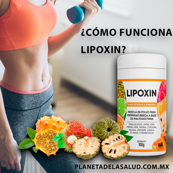 Lipoxin - precio, farmacia guadalajara, similares, del ahorro, para que ...