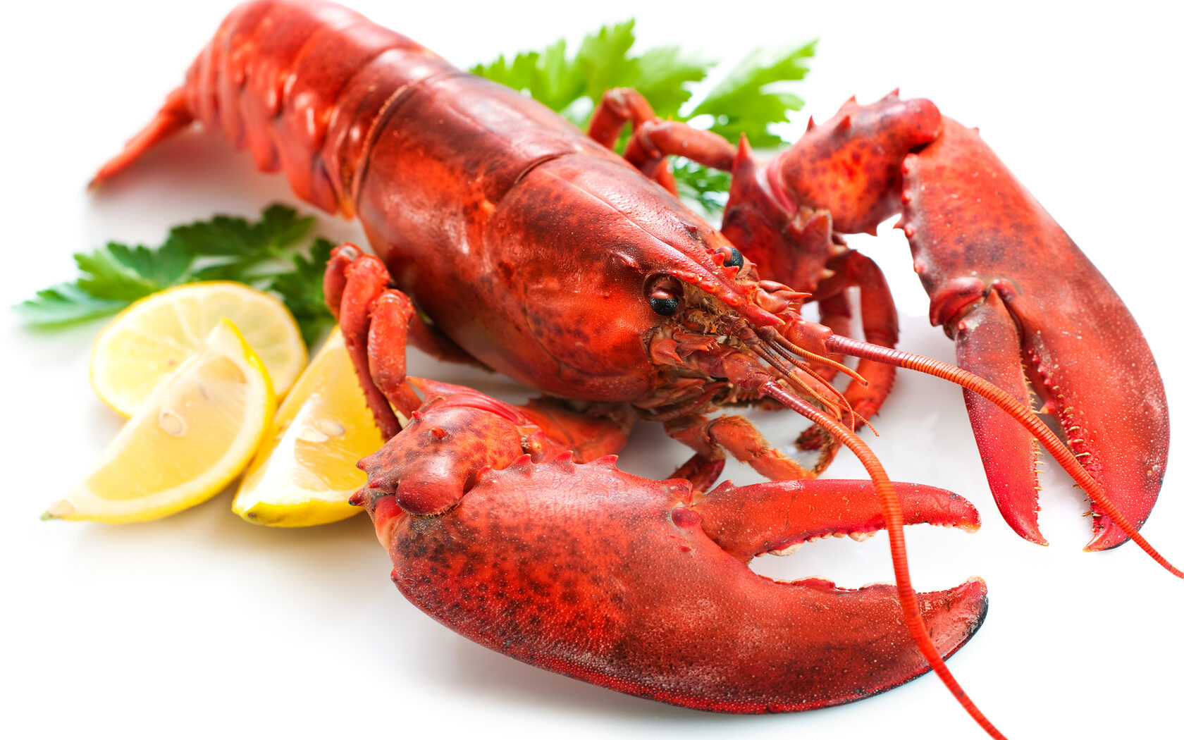 Камчатские морепродукты в Москве - купить в интернет- магазине ...