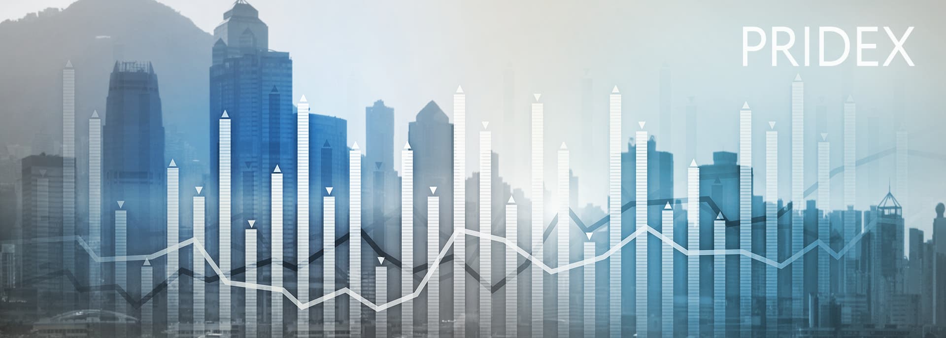 Выручка Pridex выросла до 19,1 млрд рублей