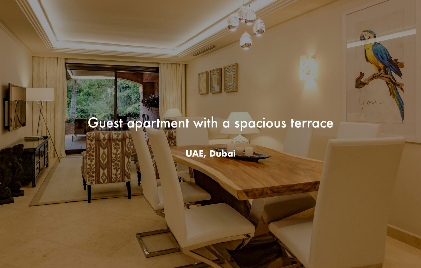 Projects. Olt Design