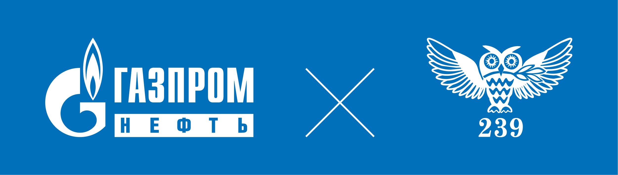 Смена PHYSCAMP239 2023