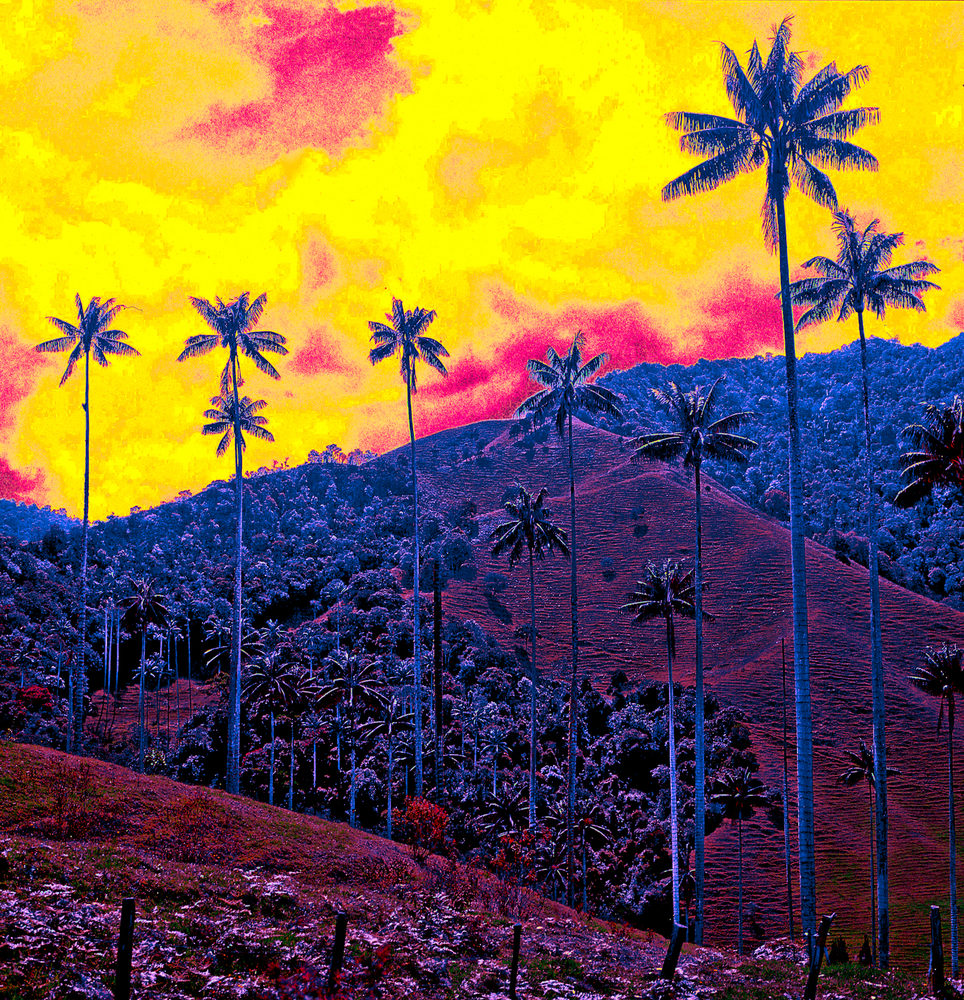 Art — Environment Europe