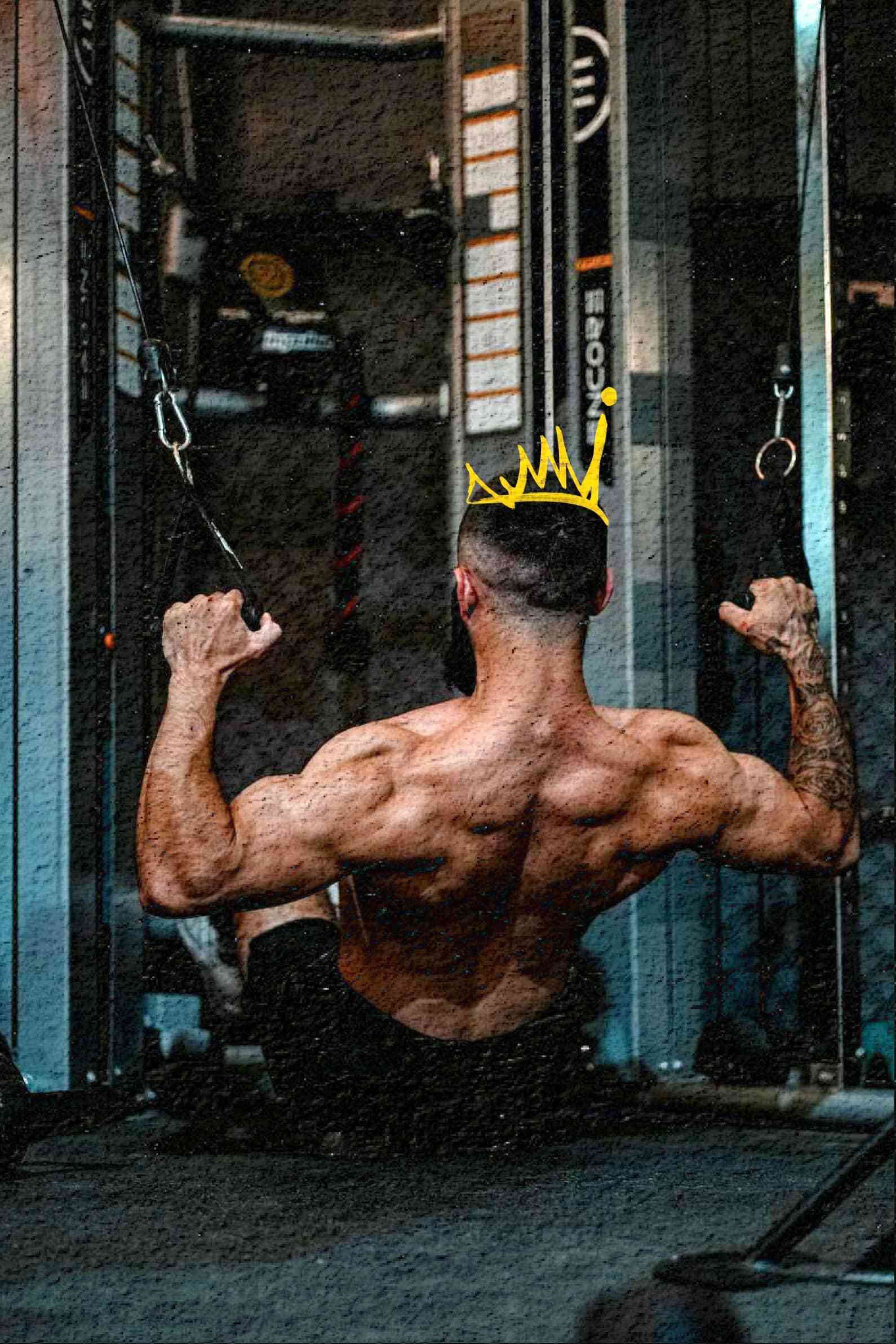 Your training programs | Vladimir Shmondenko