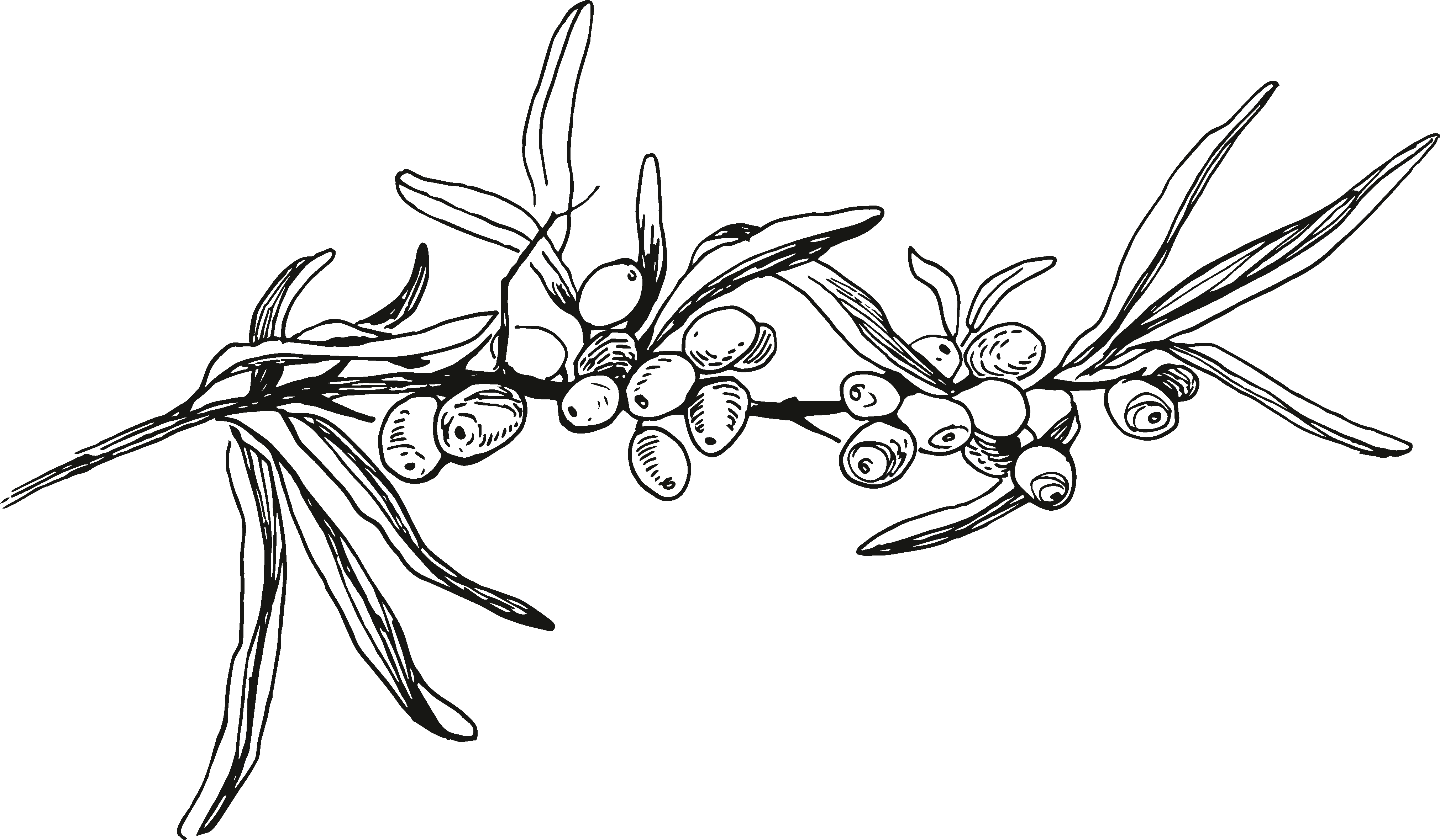 Одарика. Биопарфюм и биодобавки