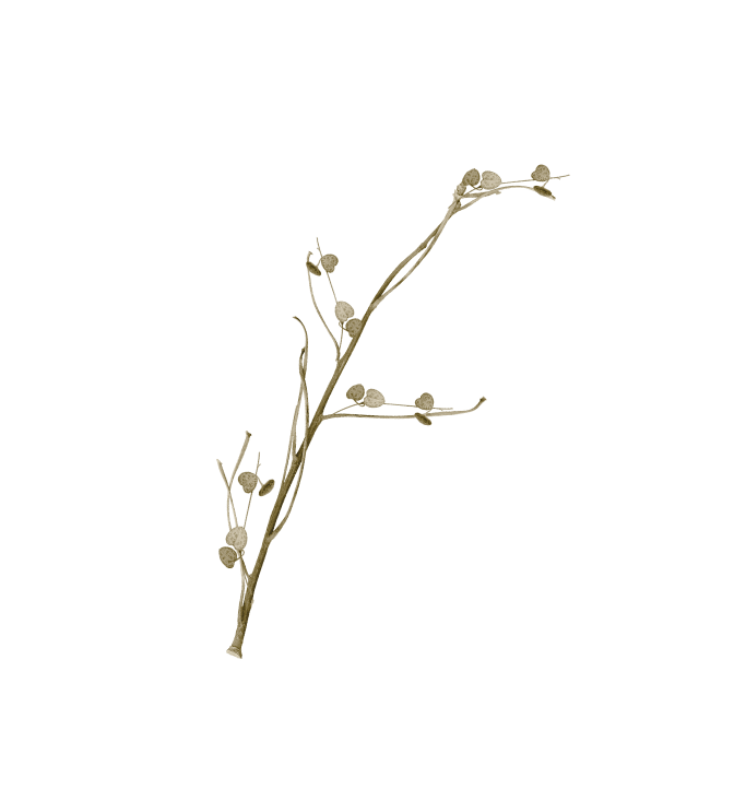 Натуральные протеиновые батончики оптом