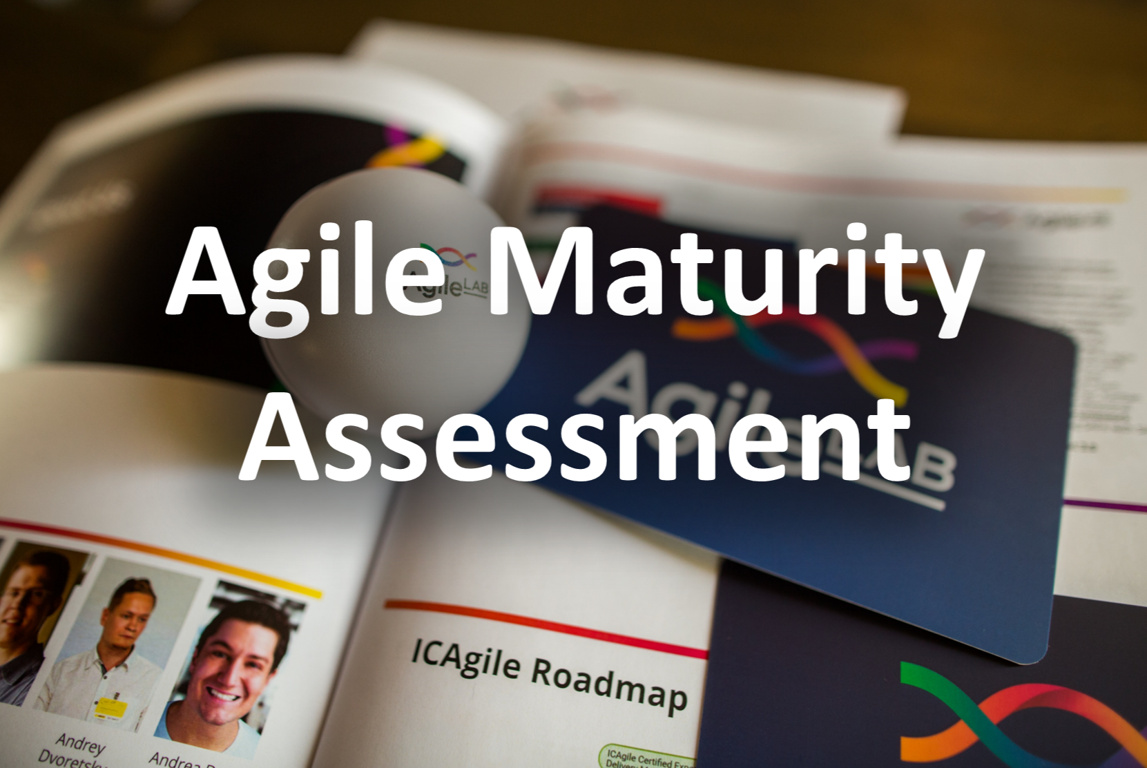 Agile Maturity Assessment Agilelab