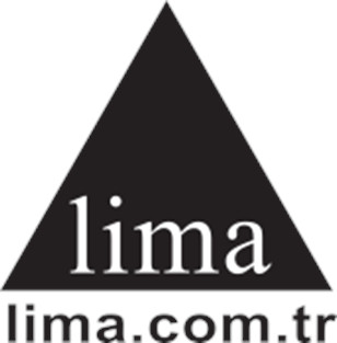 The Future Vision of Intelligent Transportation