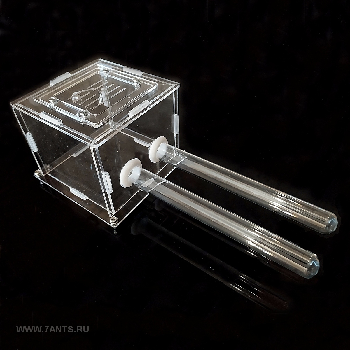 СЕМЬ МУРАВЬЁВ и фермы весёлых жнецов в Москве