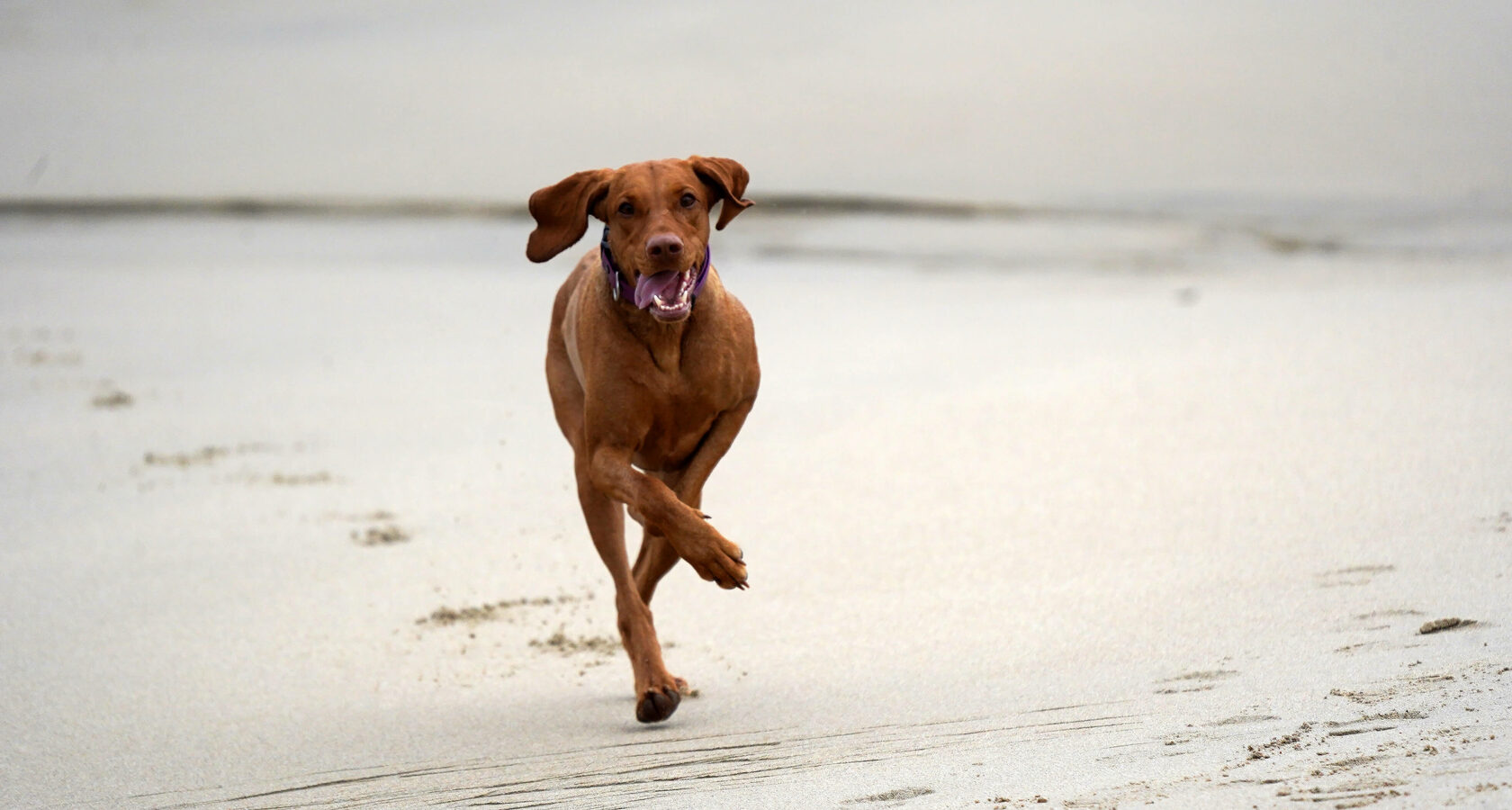 Купить зимние куртки, комбинезоны и купальники со скидкой - Rhinoclothes