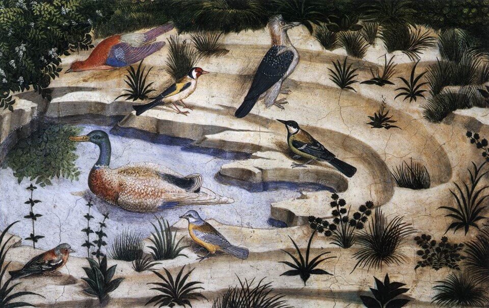 Козимо Медичи: искусство власти