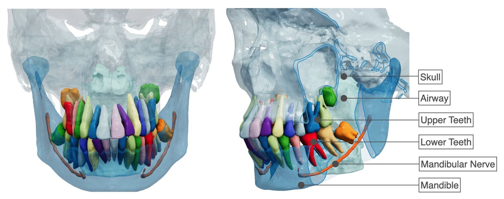 DentalMesh.AI