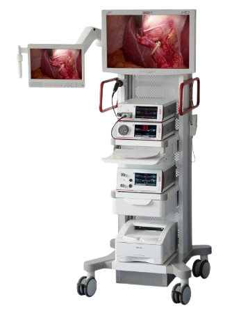 SpineMedics - Head and Back Endoscopy - SpineMedics .ru