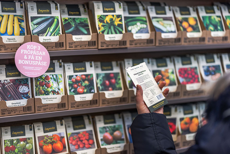 Your Ultimate Seed Buying Guide | The Best Seeds for Your Garden