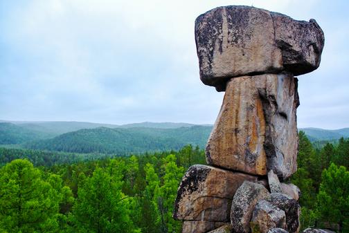 Giants of the Siberian taiga - 4 | GBT 2020