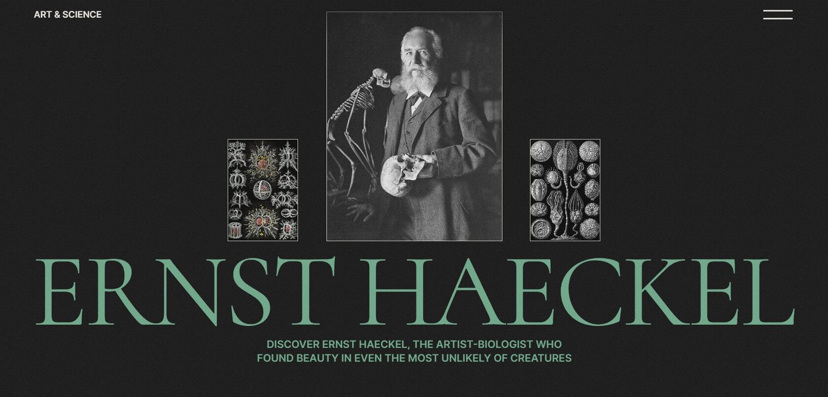 Ernst Haeckel and his illustrations