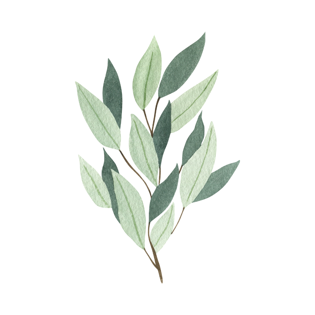 ЗОЖ-ПРОГРАММЫ