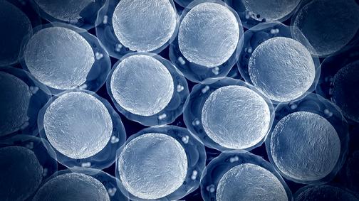 Клеточная биология