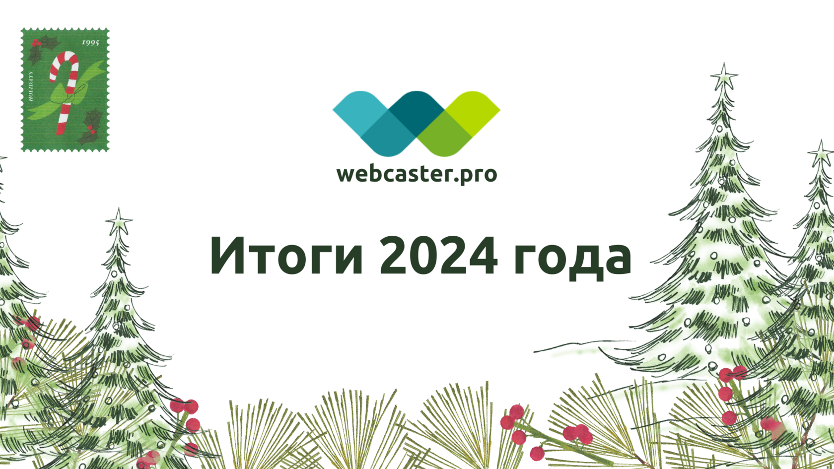 Итоги 2024 года с Webcaster.pro