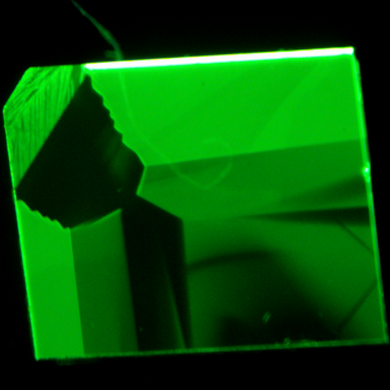 AVRORA DIAMOND INSPECTOR devices for determining the authenticity of ...