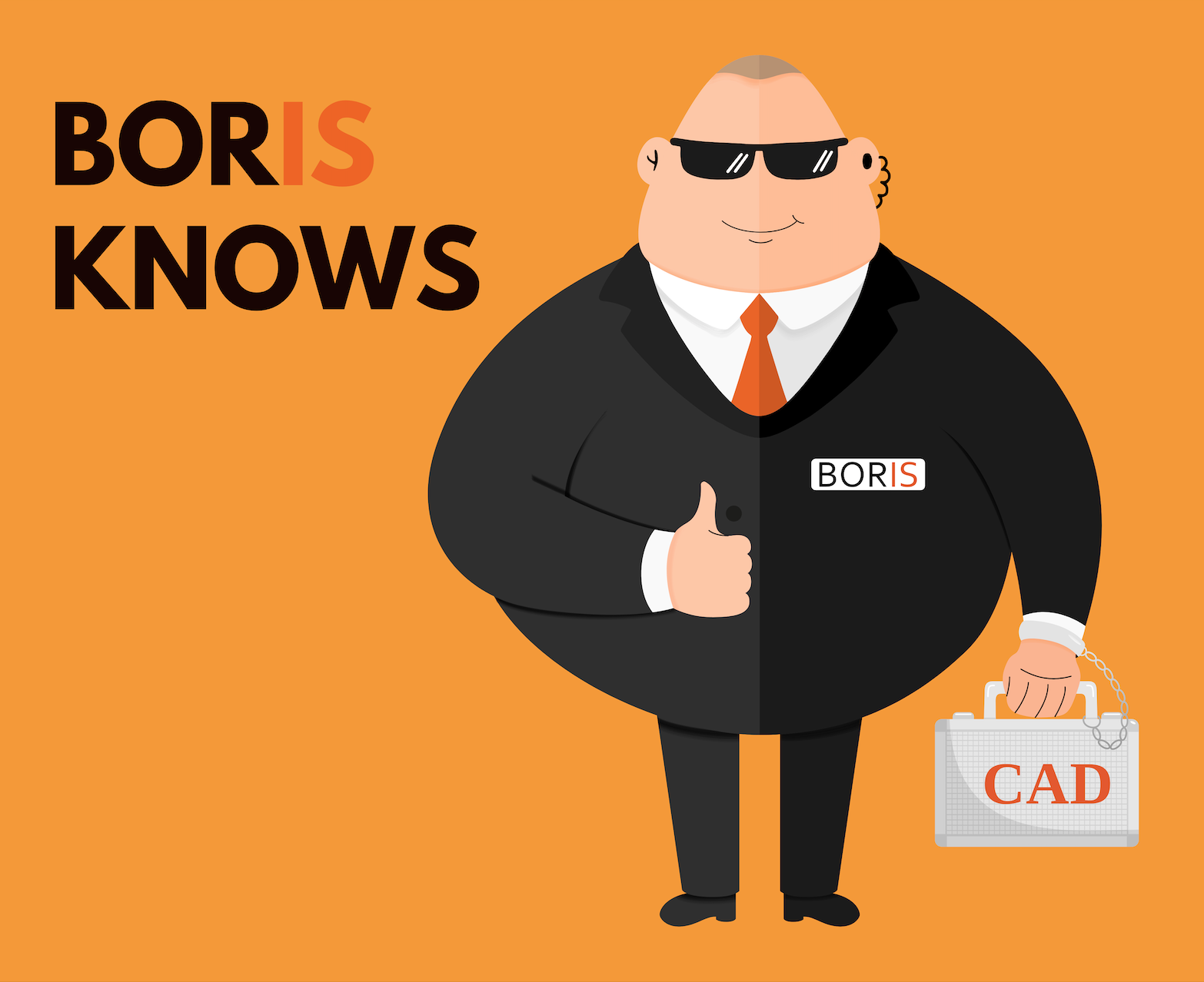 How to Protect Your CAD Files Using BORIS Plugin