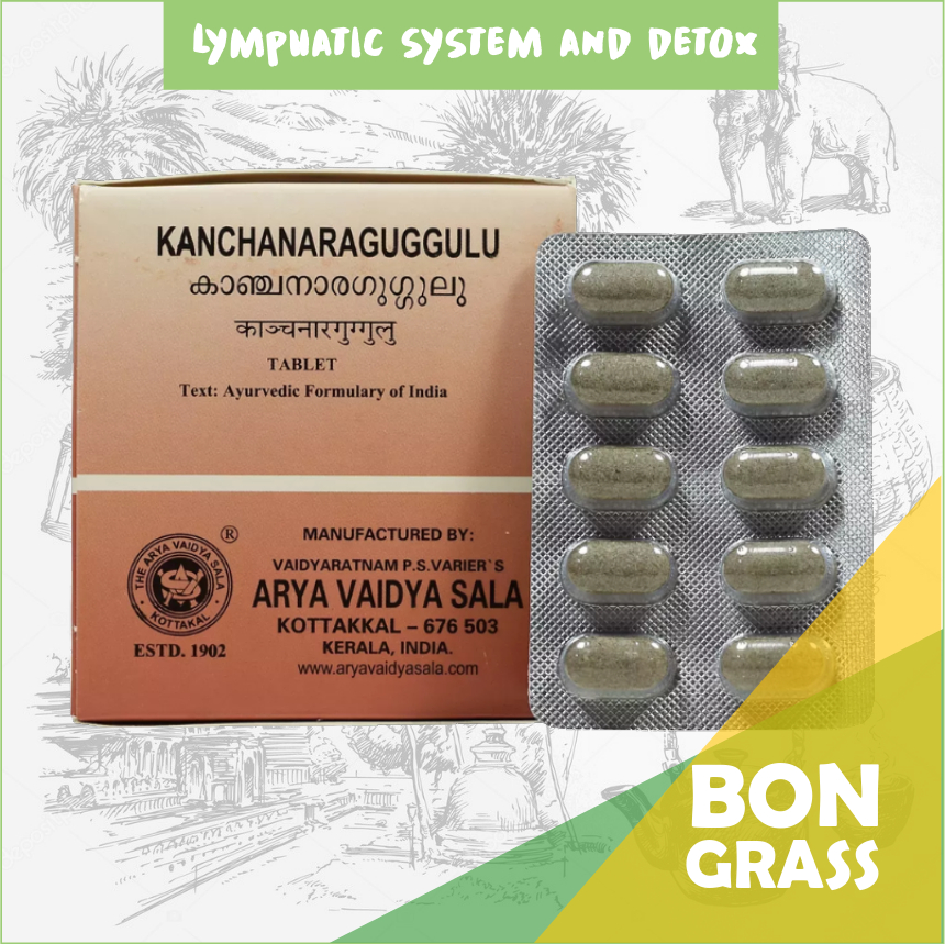 Канчанар Гуггул Арья Вадья Сала Коттаккал (Kanchanara Guggulu Arya ...