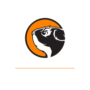 Games Job Fair Autumn 2022