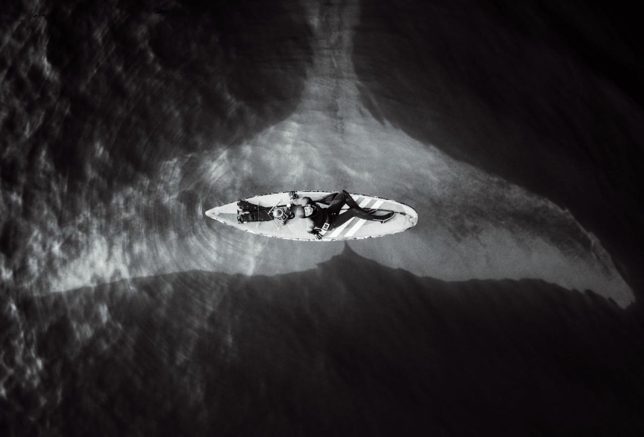 The Shantar Islands, Wrangel Bay