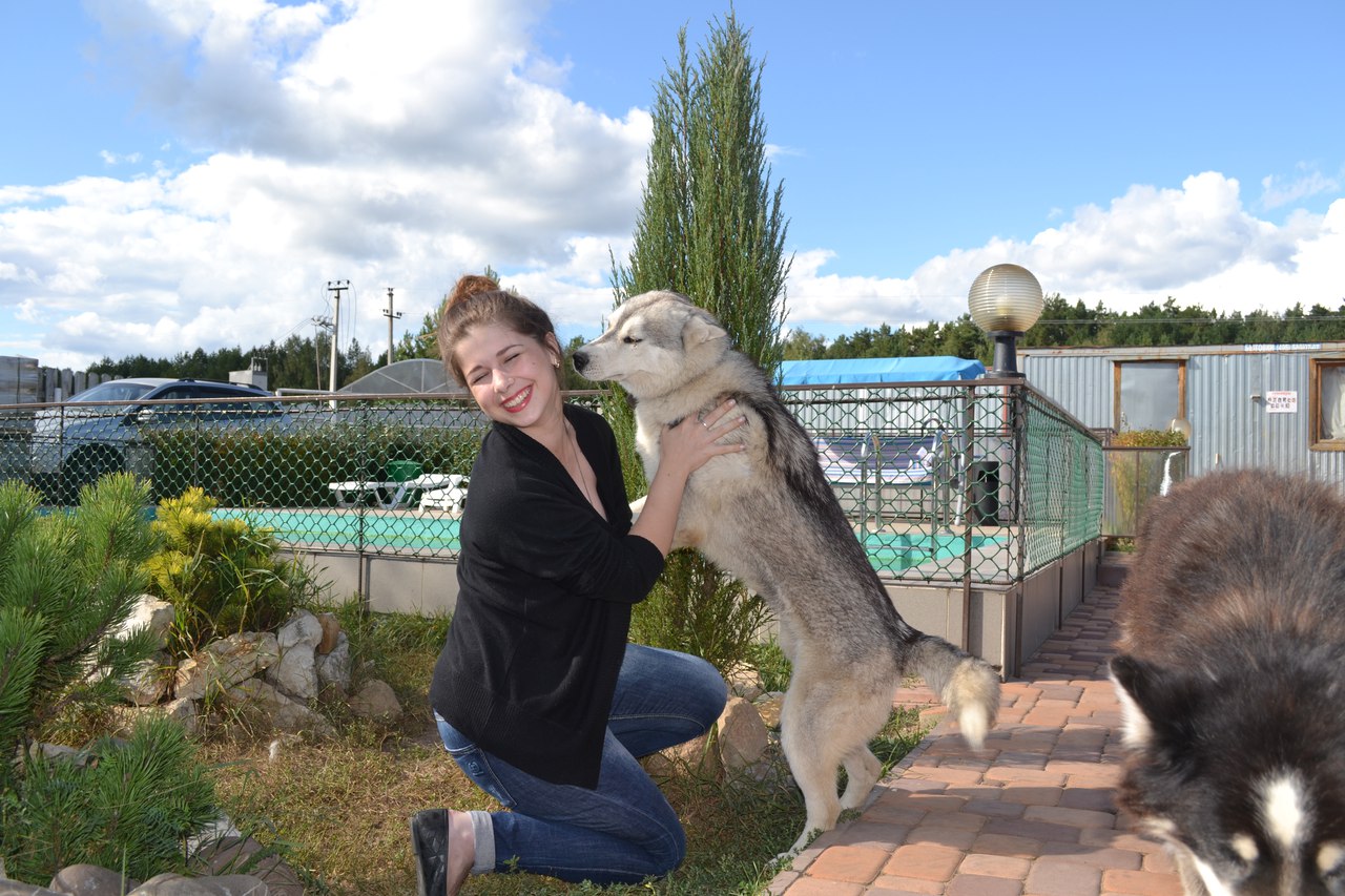 Питомник сибирских хаски "Husky-Evolution"