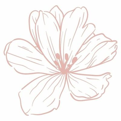 Тренажер Назарова для лица БМС ФЕЙС купить с обучением биомеханической ...