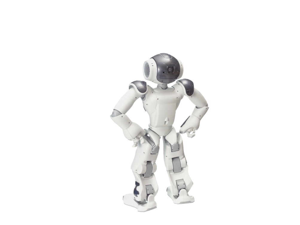 NAO - The Multipurpose Robot