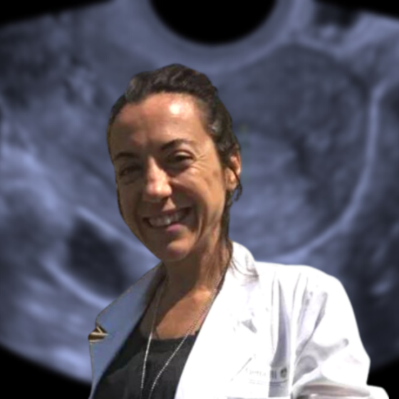 Оne Day Focus: Gynecology Ultrasound Essentials