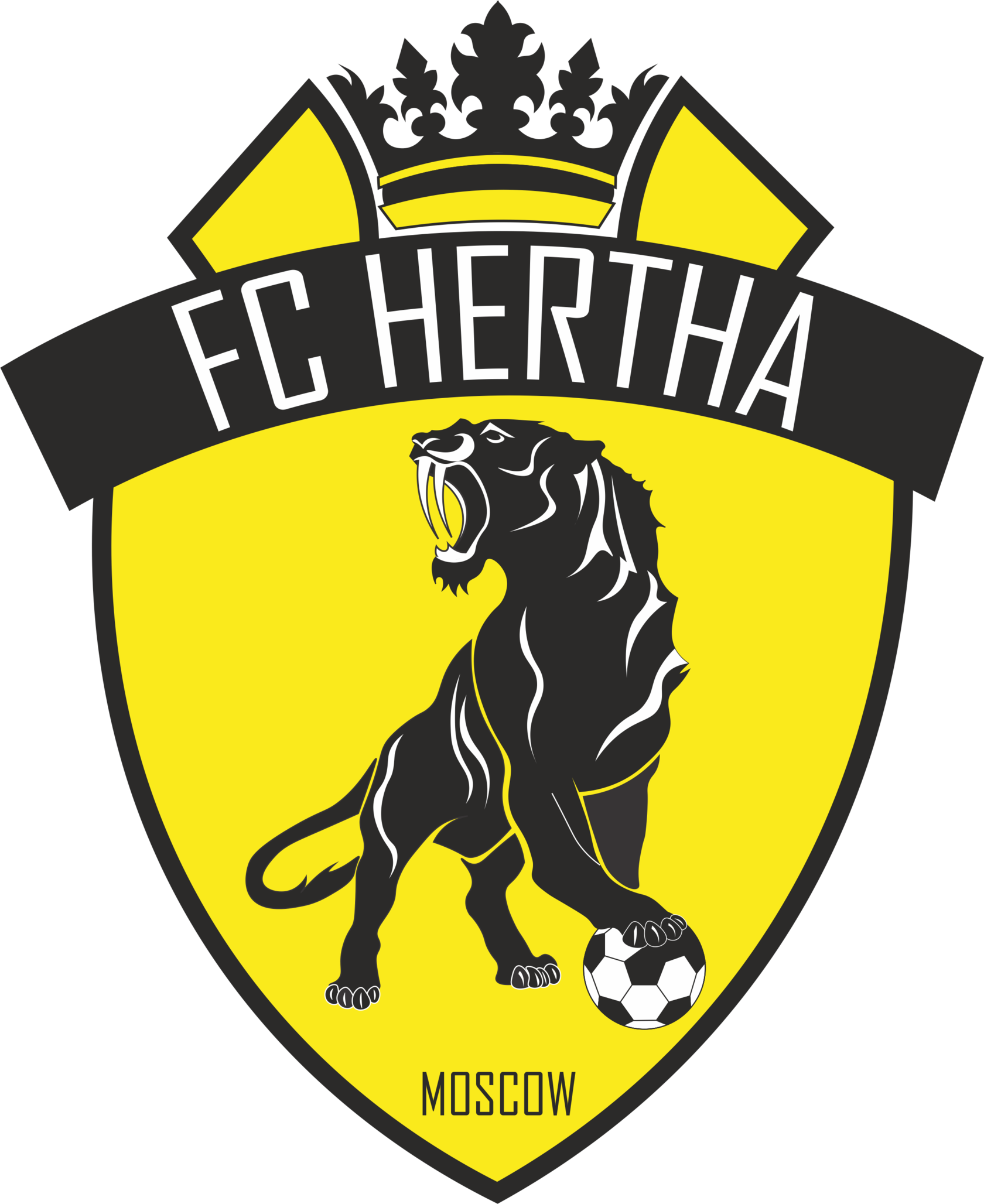 Футбольный клуб «‎Герта» | Футбольная школа для детей в Москве‎