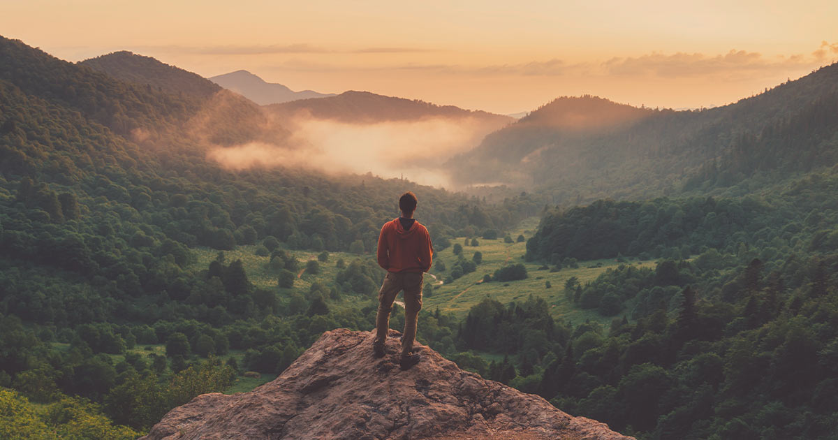 Mindset is Everything: How to Develop the Right Mindset for Success