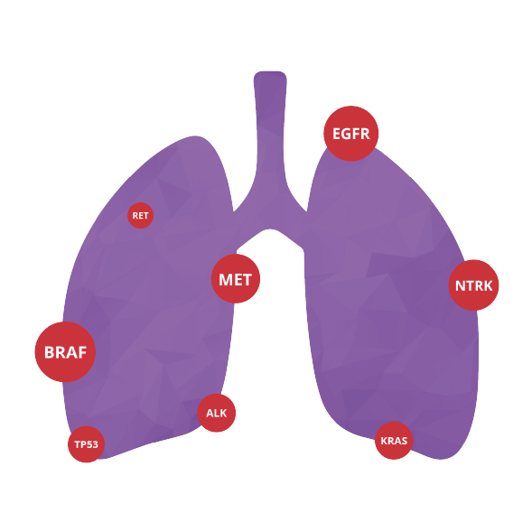 GeneValue™ NSCLC Solution