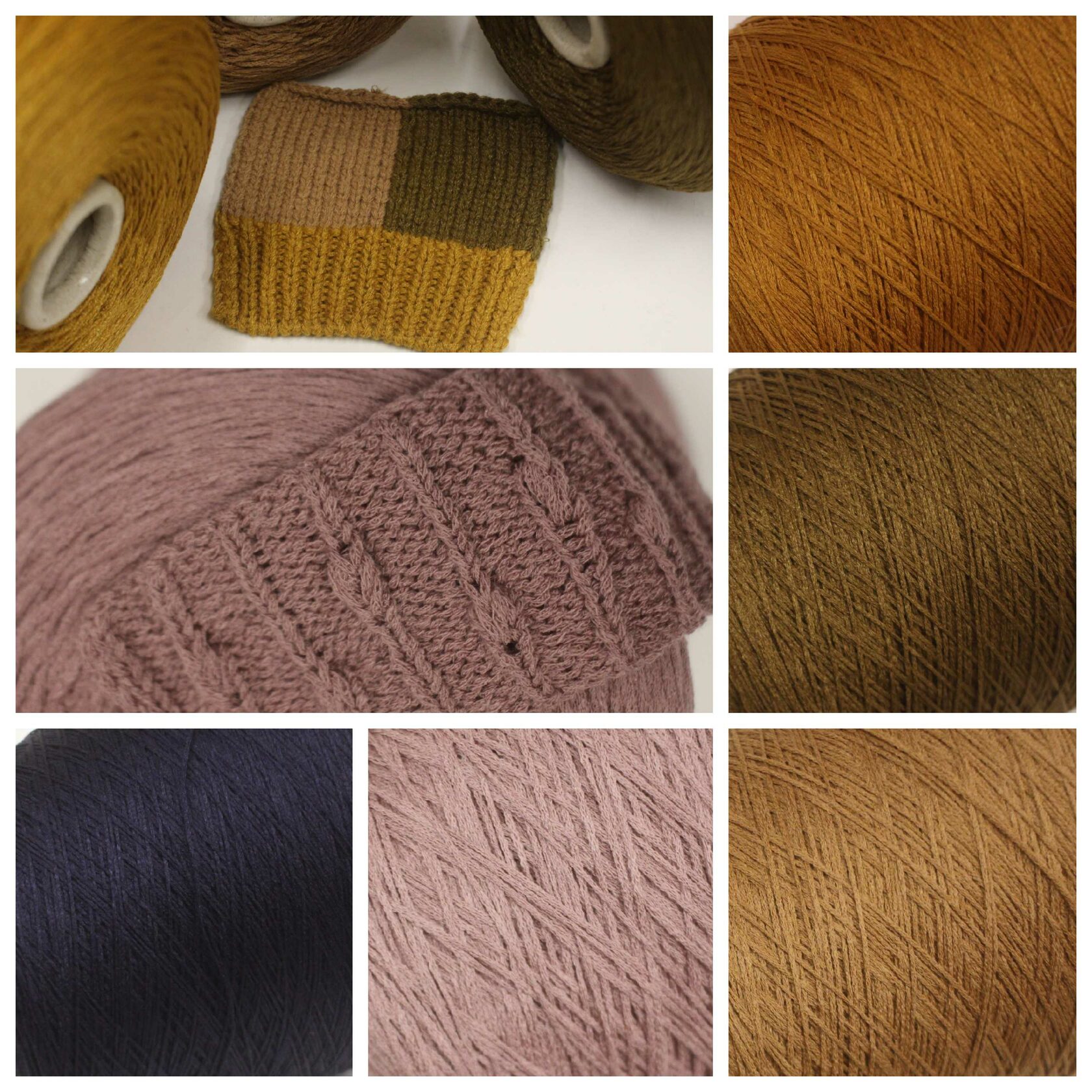 FILPUCCI, art. Solaia