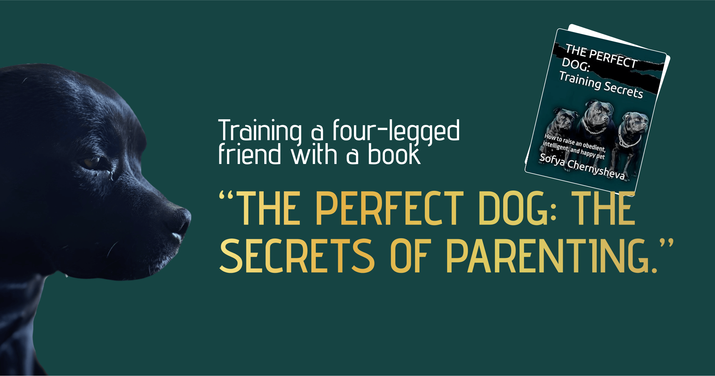 Training your four-legged friend with the book “The Perfect Dog ...
