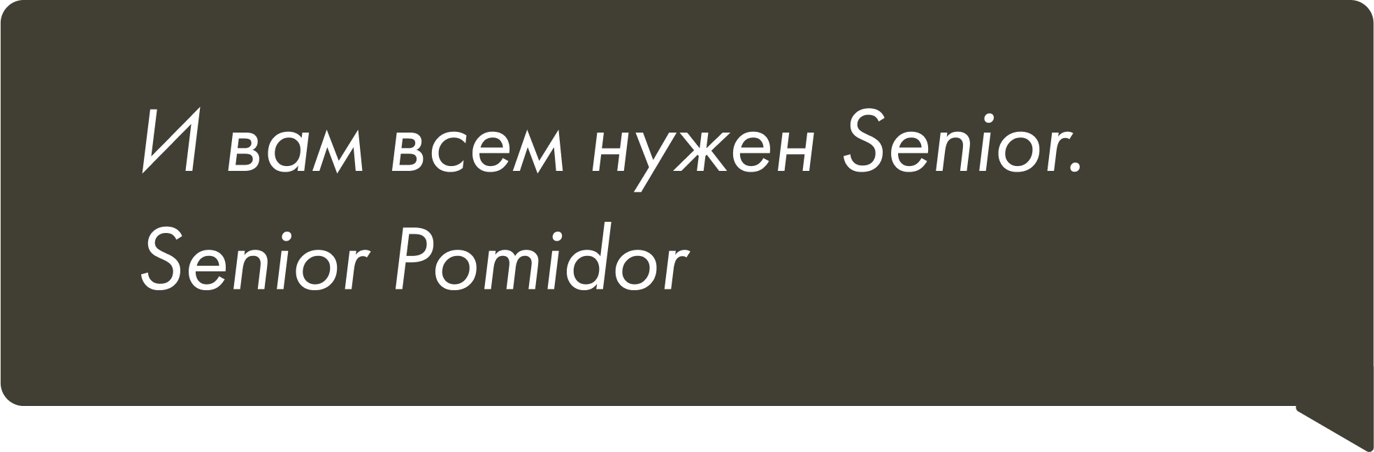Senior Pomidor | Подбор сильных менеджеров по продажам и руководителей отделов продаж