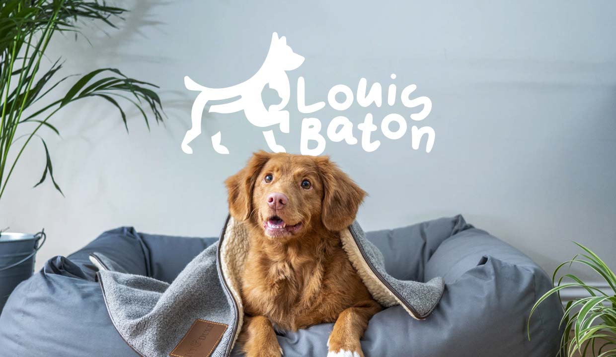 Louis Baton — Груминг салон премиум класса