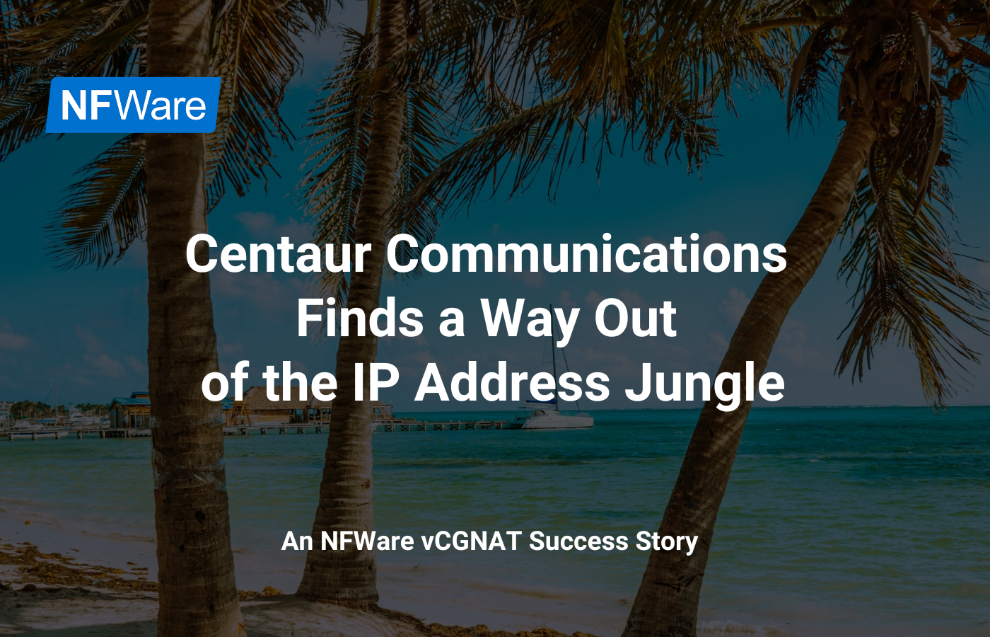 Centaur Communications Finds a Way Out of the IP Address Jungle | Nfware