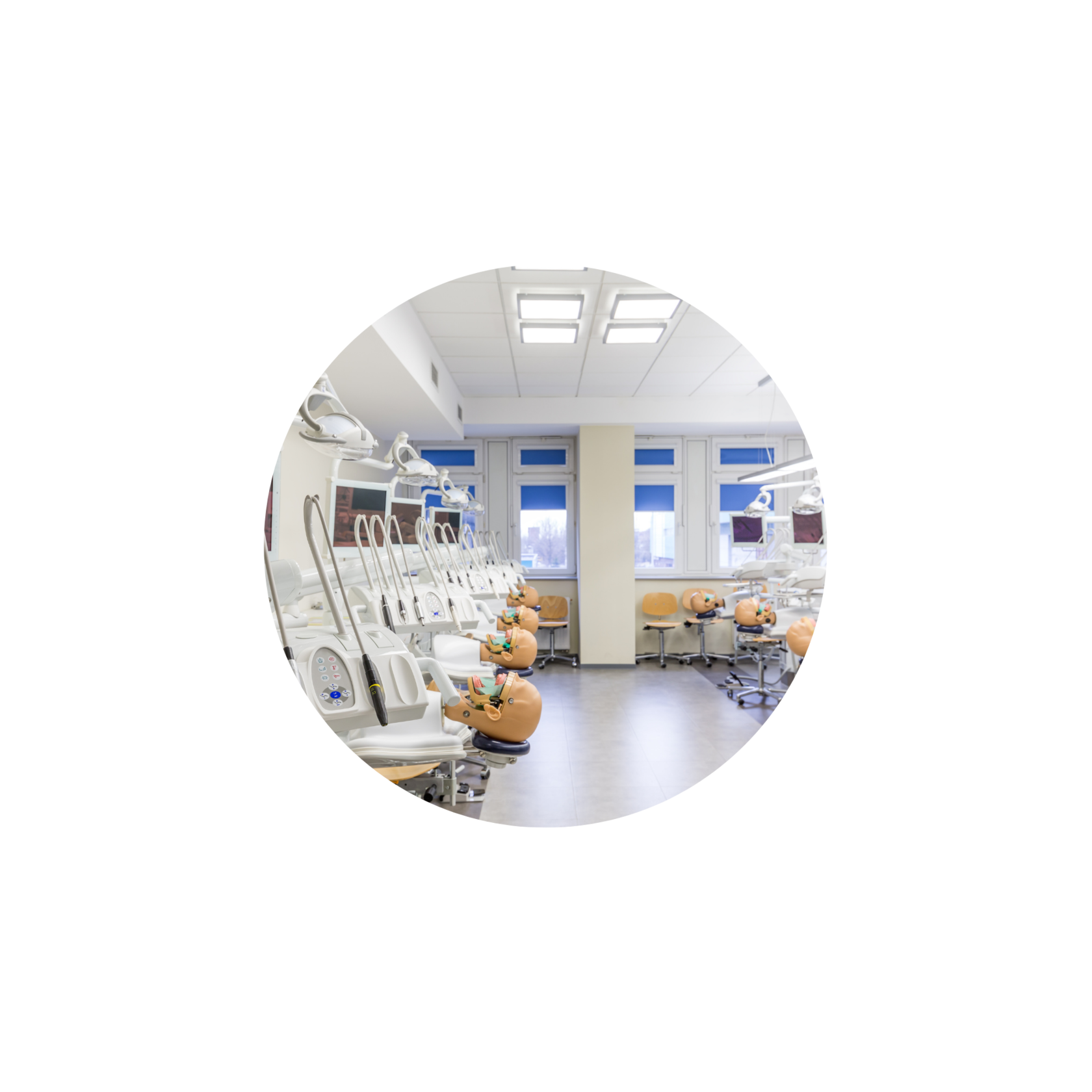 About Dr. Baruch Tetri